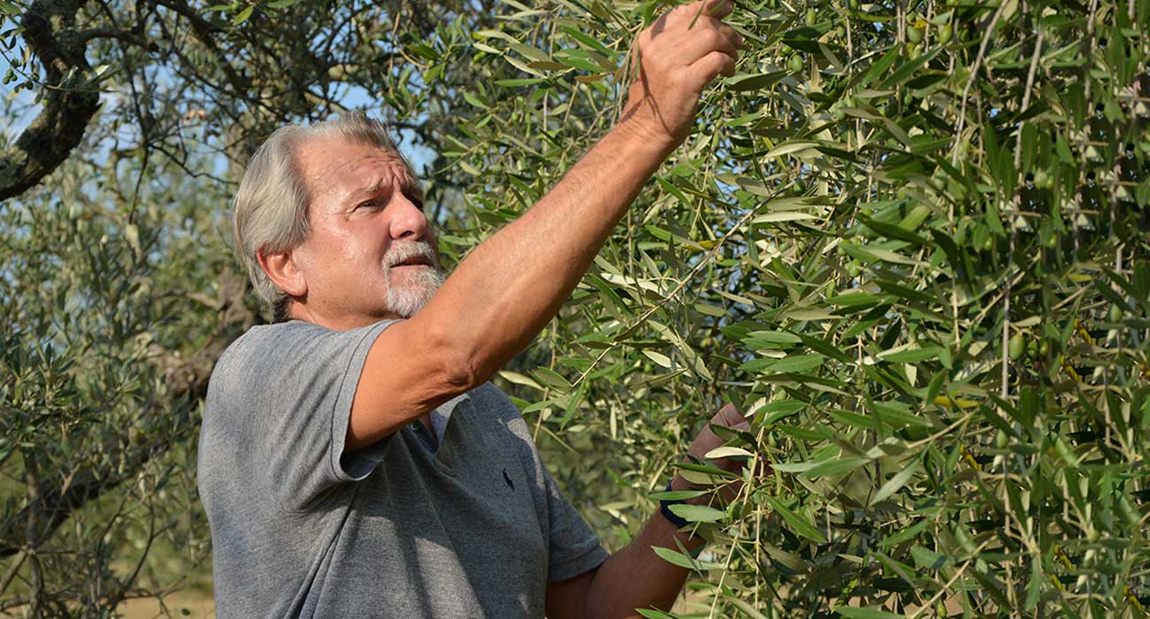 Another Blessing | Robert St. John